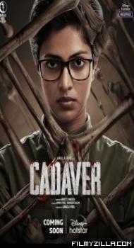 Latest South Indian Hindi Dubbed Movies 2022 - FilmyZilla